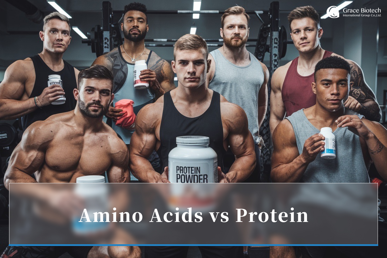 How to Start Your Own Protein Shake Company: Full Guide